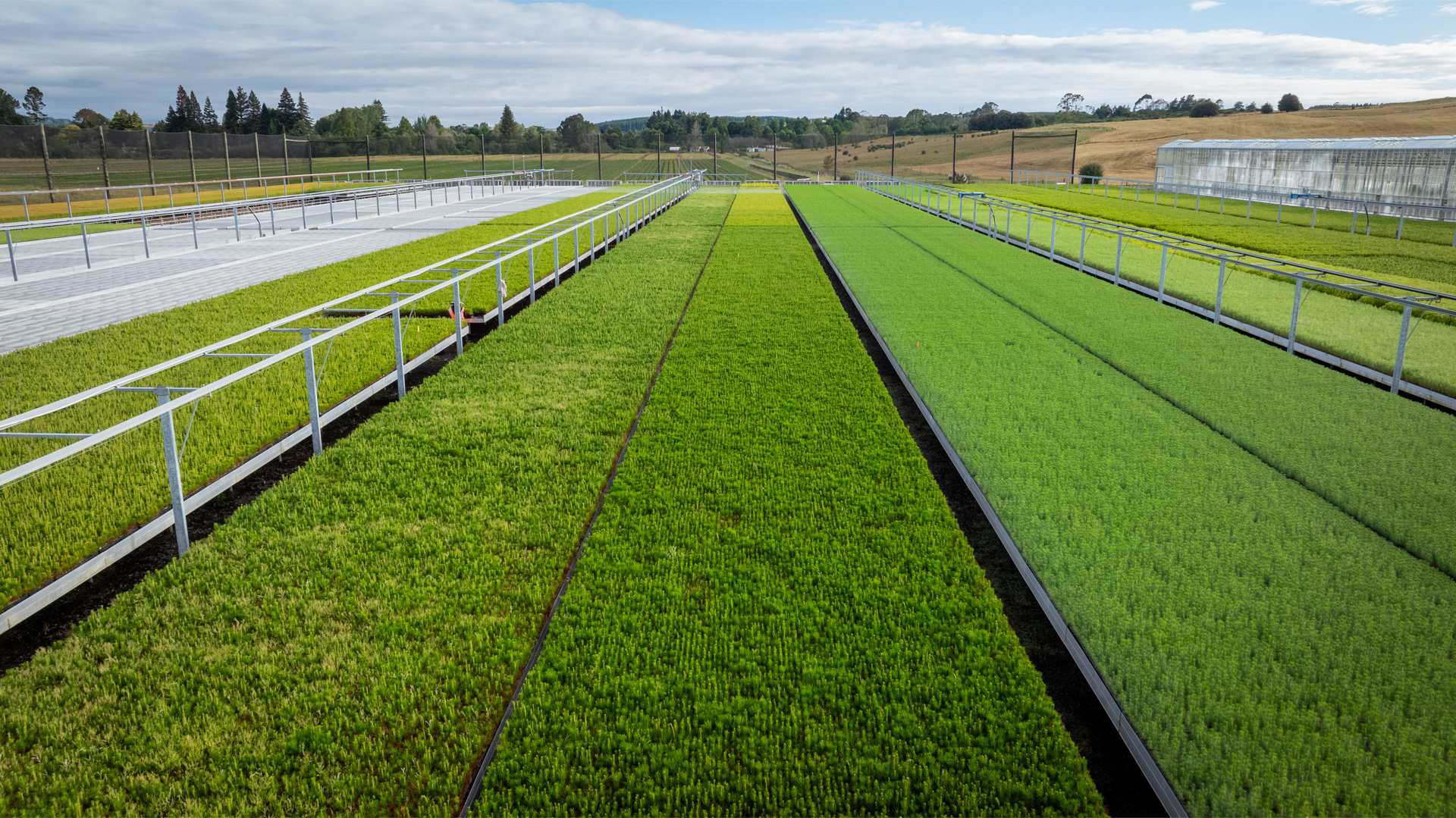 Kaingaroa Tipu | Forestry Operations